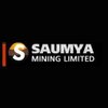 Portfolio | Saumya Mining